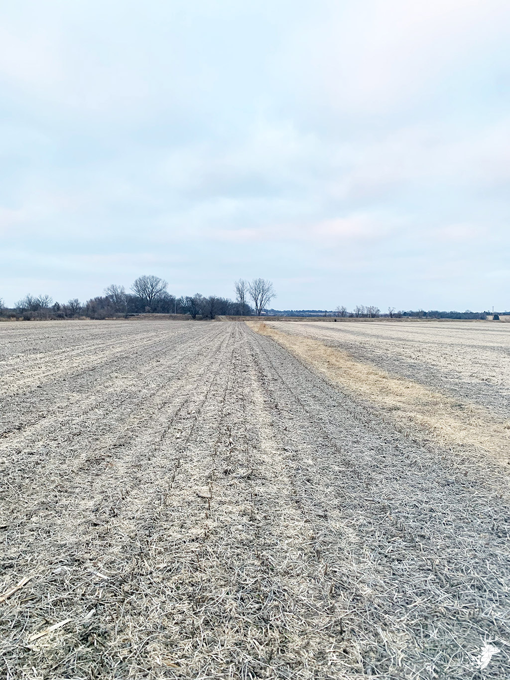 Small Acreage Bottom Ground Farm
