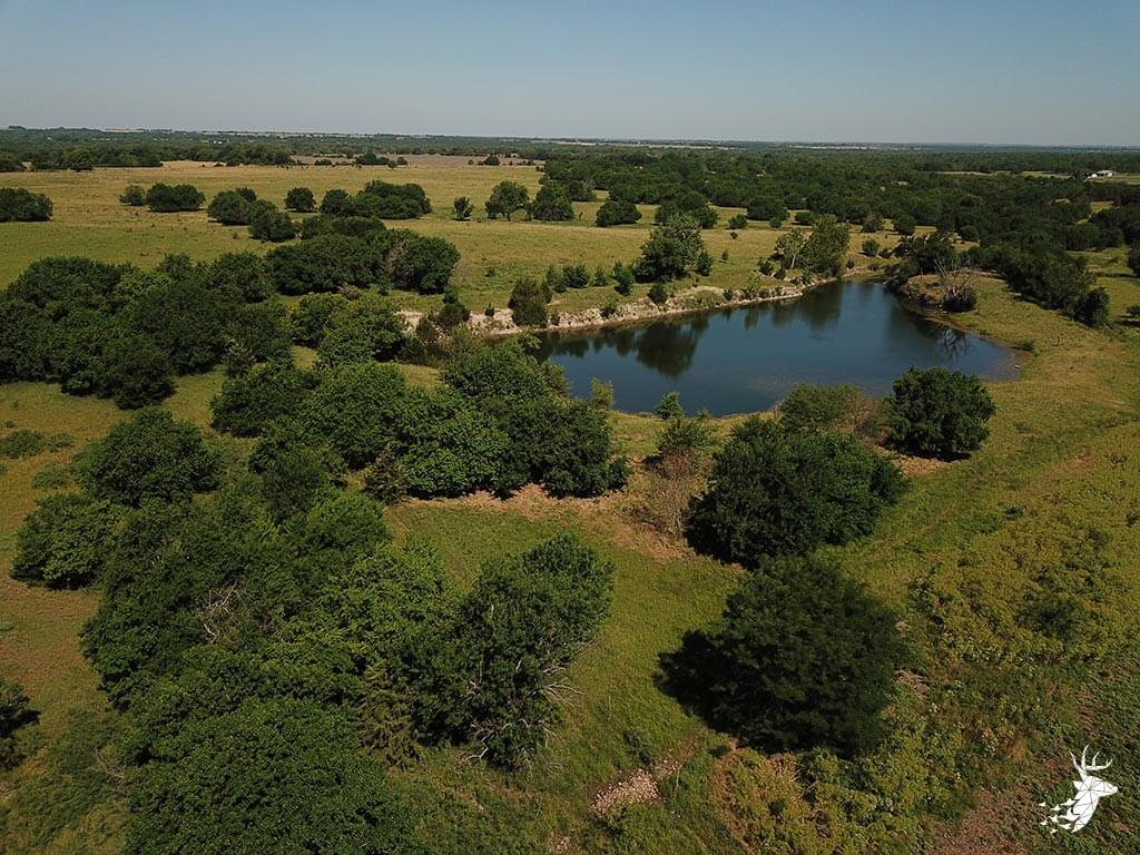 Recreational Property with Pond and Build Site Options