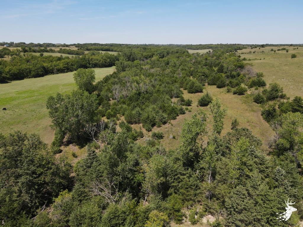 Hunting, Hay Ground and Pasture