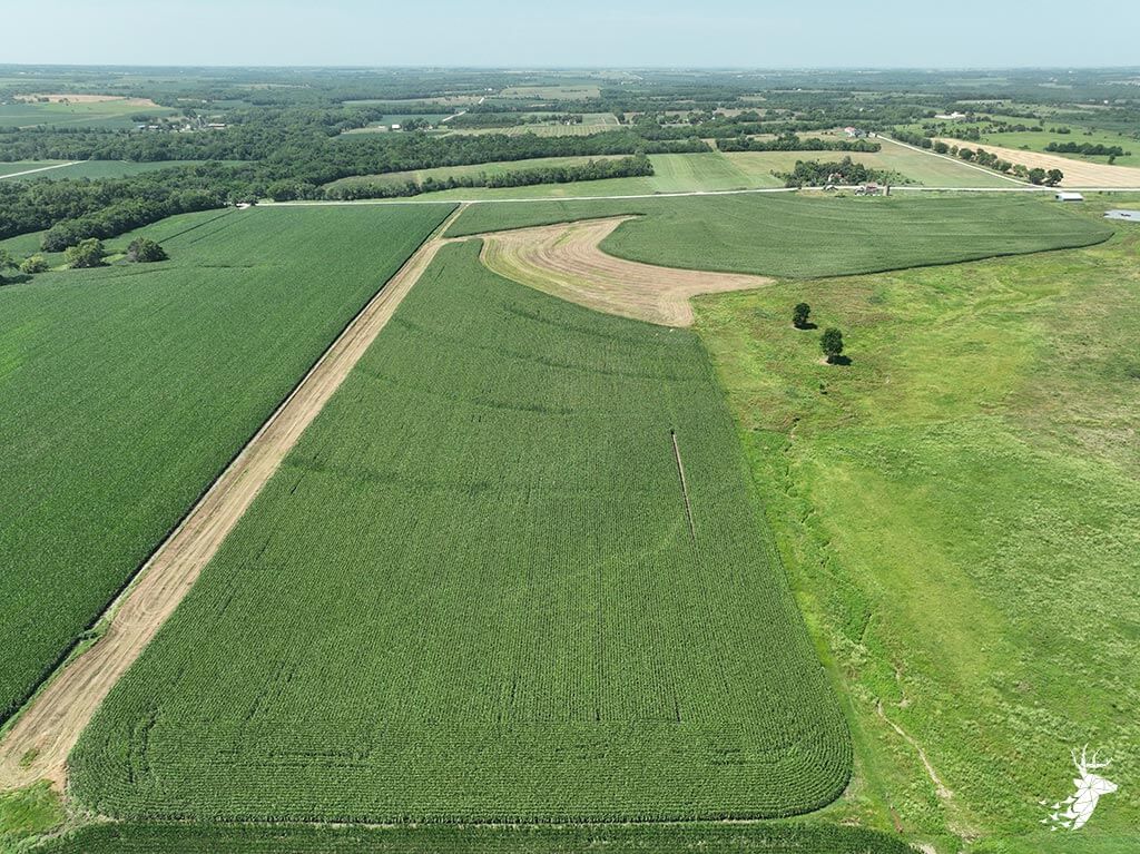 Tillable Farm Land with Pasture and Hay Ground