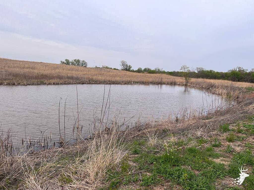 CRP, Hay Ground, Hunting