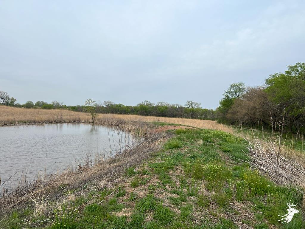 CRP, Hay Ground, Hunting