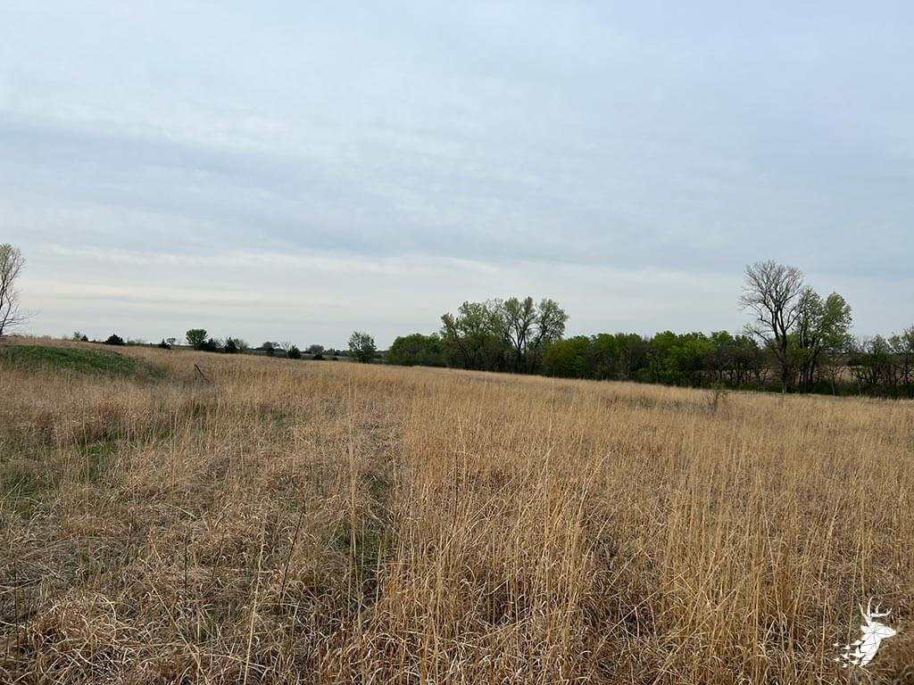 CRP, Hay Ground, Hunting