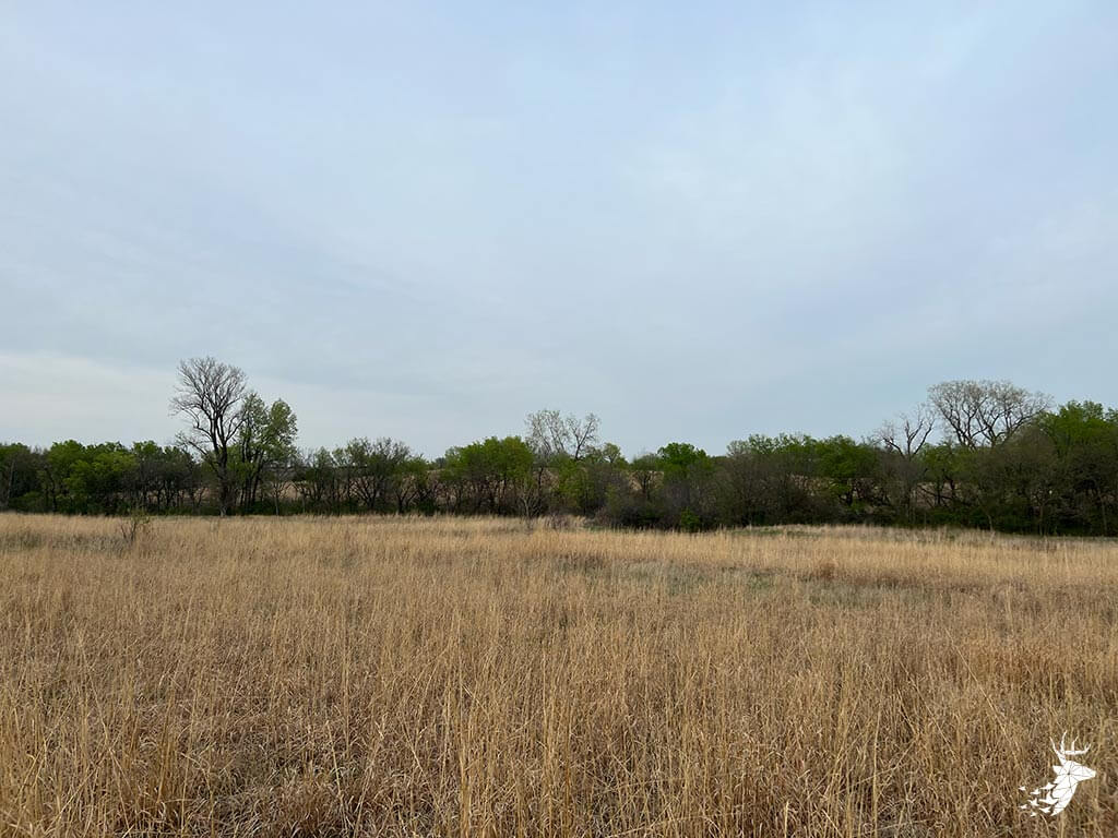 CRP, Hay Ground, Hunting
