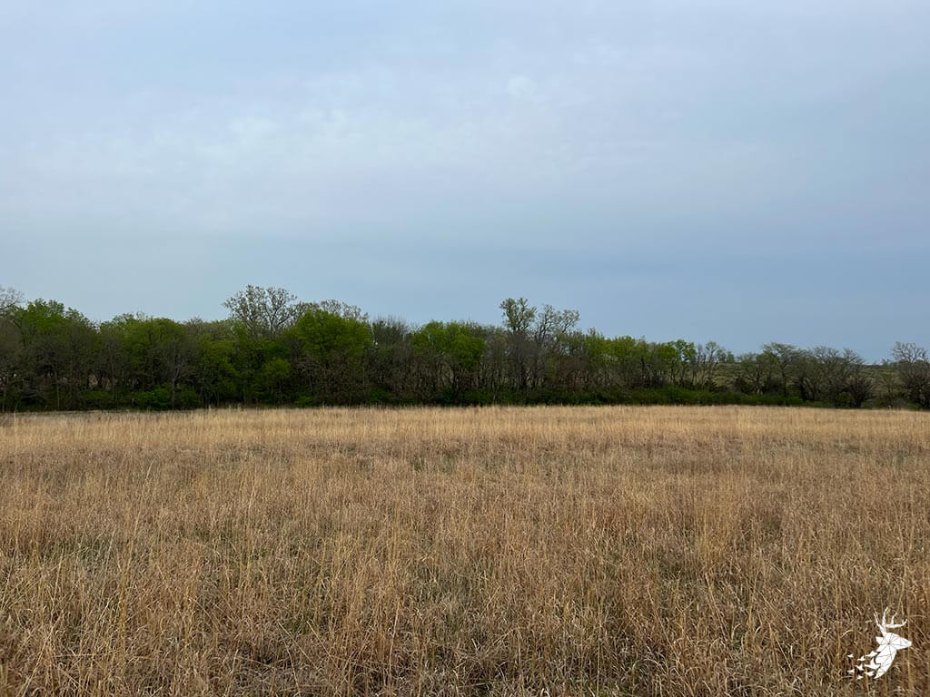 CRP, Hay Ground, Hunting