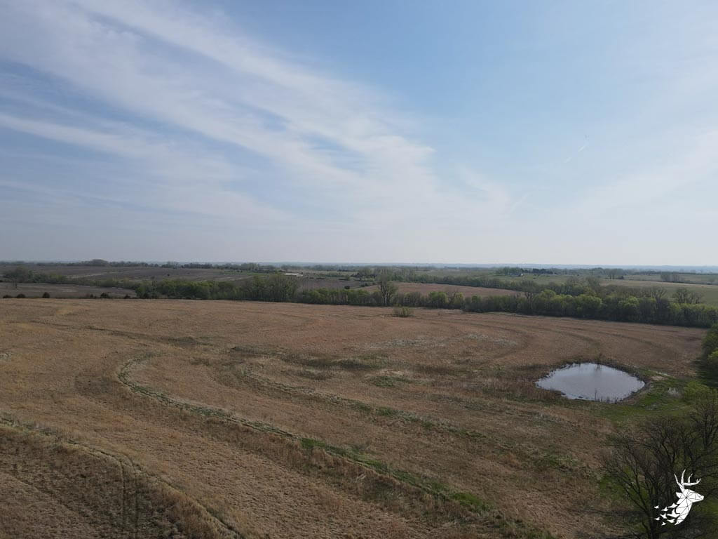 CRP, Hay Ground, Hunting