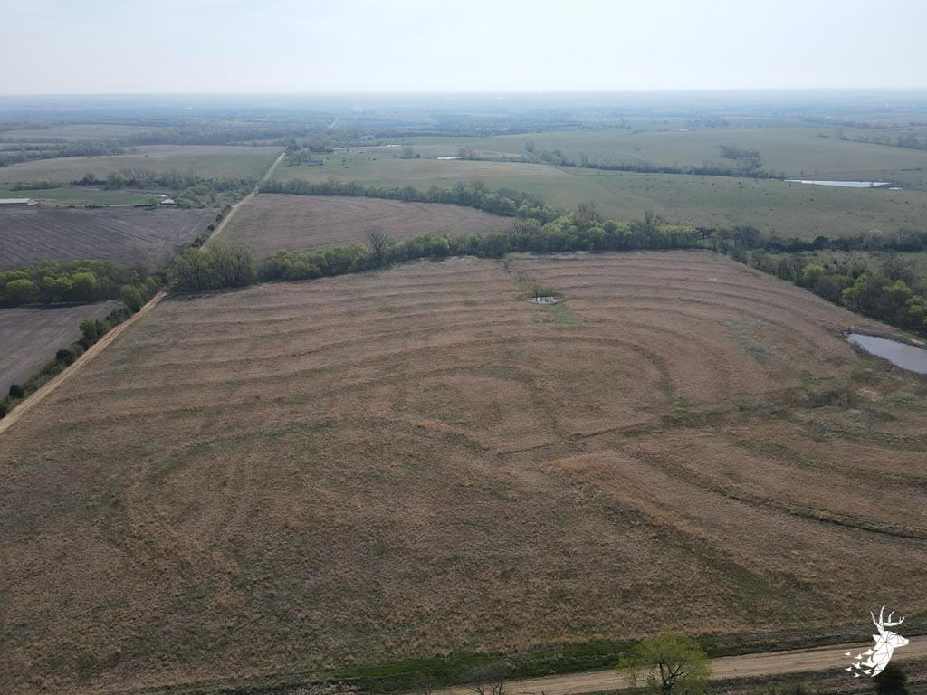 CRP, Hay Ground, Hunting