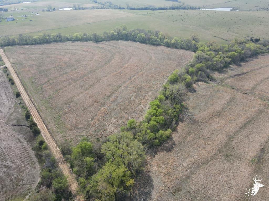 CRP, Hay Ground, Hunting