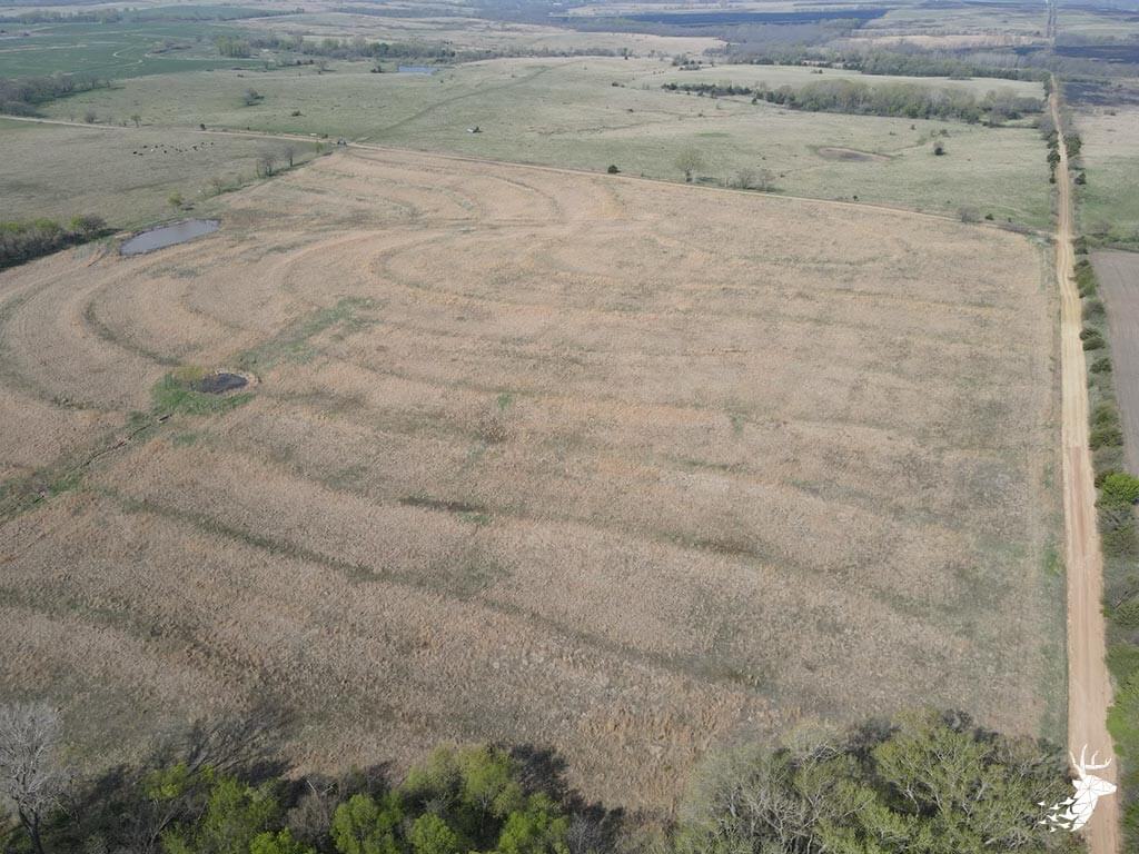 CRP, Hay Ground, Hunting