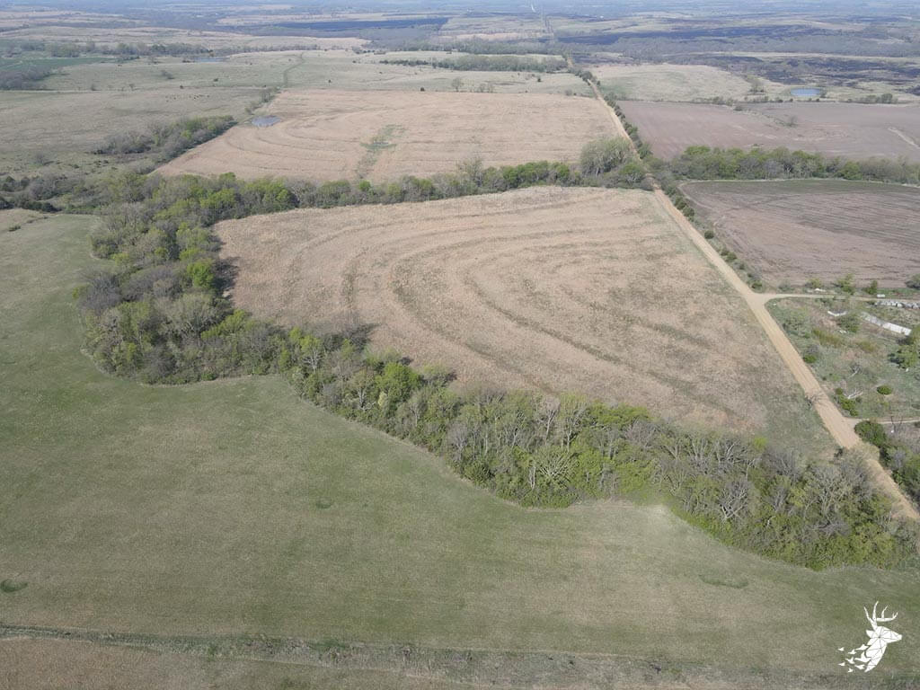 CRP, Hay Ground, Hunting