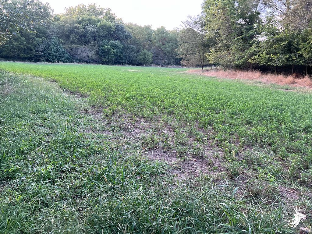 Farmland, Hunting, Build Site All in One