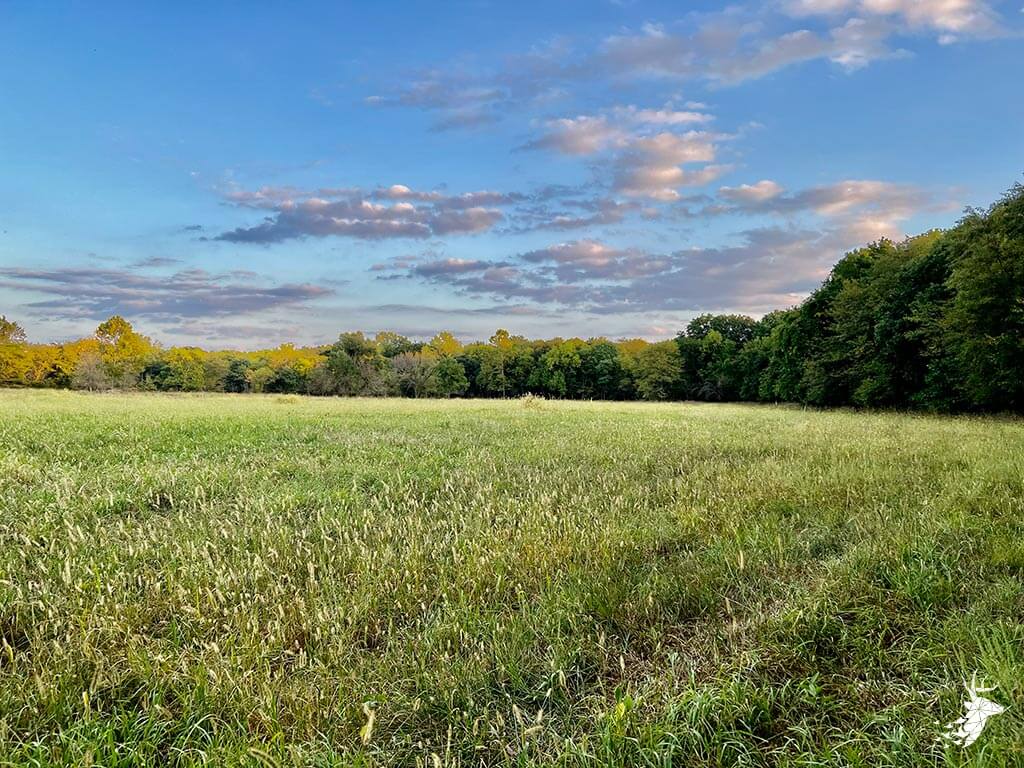 Farmland, Hunting, Build Site All in One