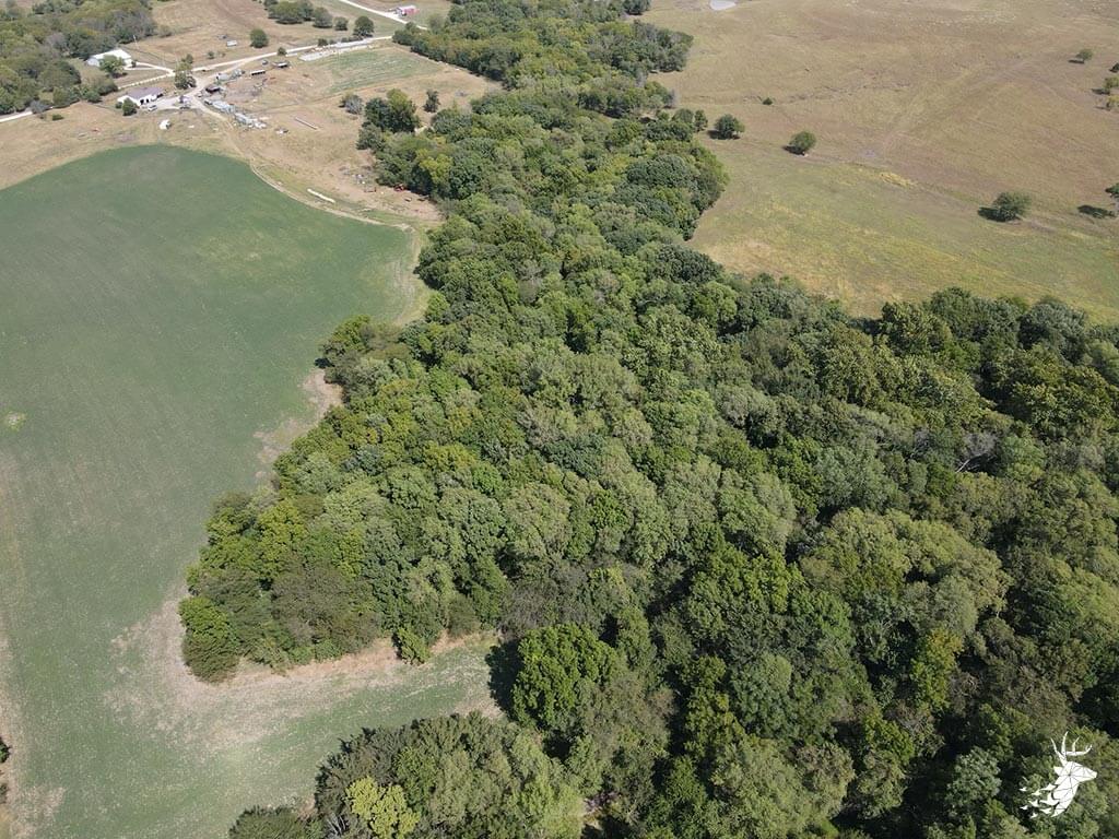 Farmland, Hunting, Build Site All in One