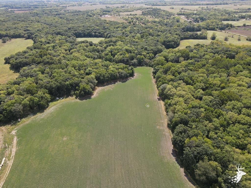Farmland, Hunting, Build Site All in One